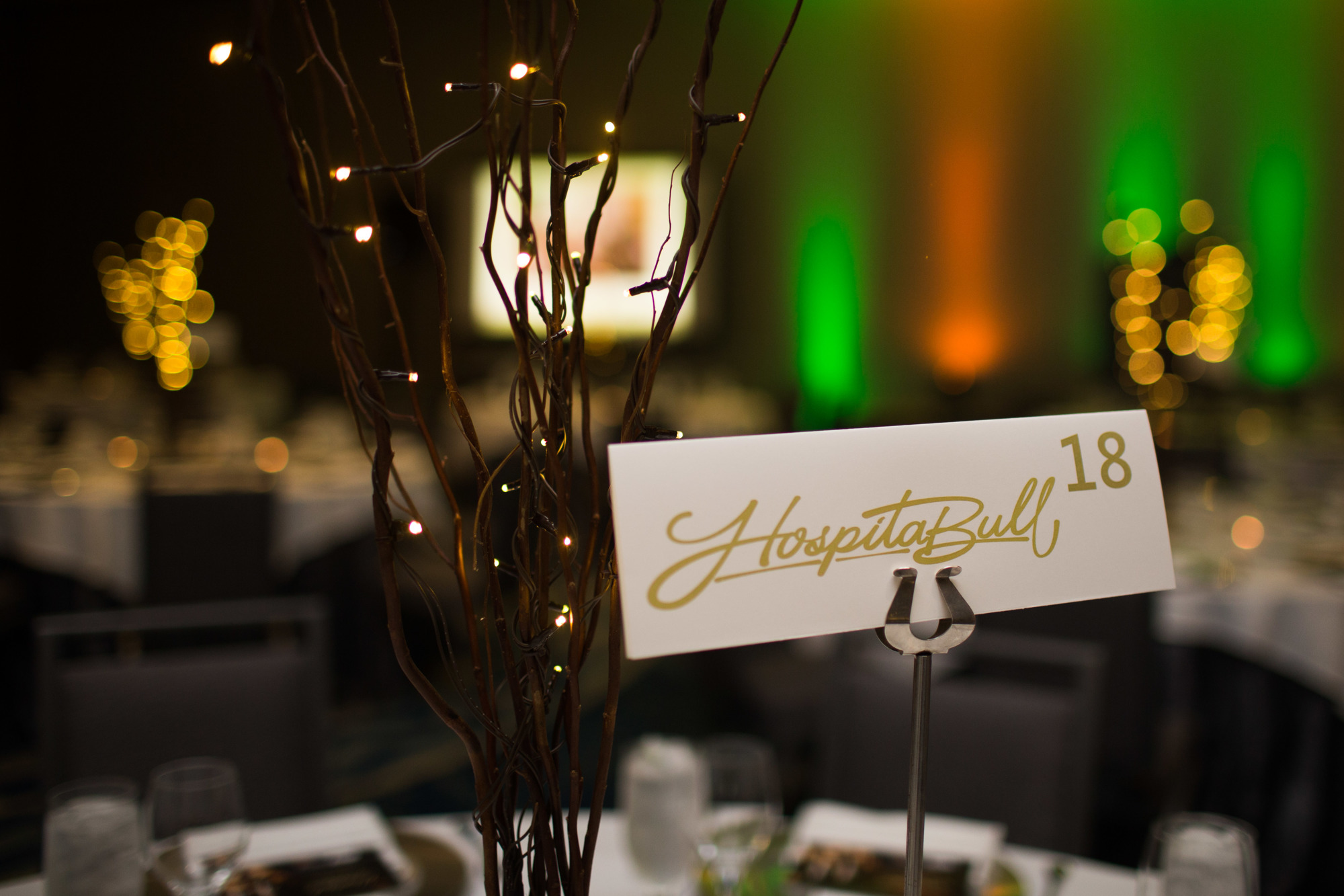 Students show off their skills at HospitaBull | Your Observer